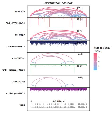 Chapter 6 Loops Visualization Biosequtils Reference