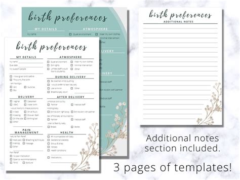 Birth Preferences Template Birth Plan Editable Labour Birth Chart