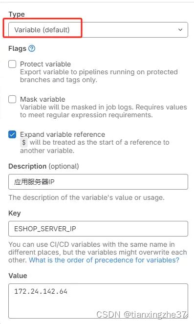 使用gitlab自带的cicd功能在远程服务器部署项目（三）gitlab Cicd部署项目 Csdn博客