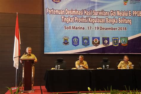 E Ppgbm Pemenuhan Informasi Dan Intervensi Status Gizi Provinsi Kepulauan Bangka Belitung