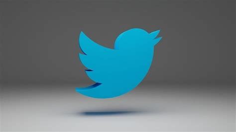 Twitter Icon Gray