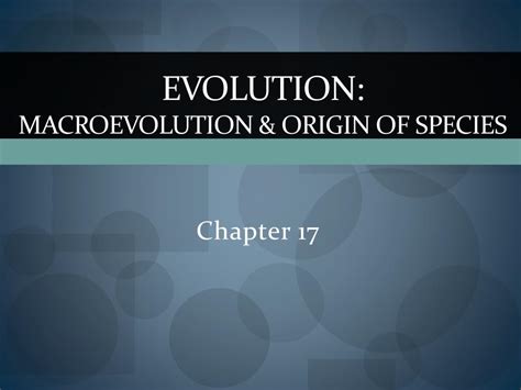 PPT Evolution Macroevolution Origin Of Species PowerPoint Presentation ID