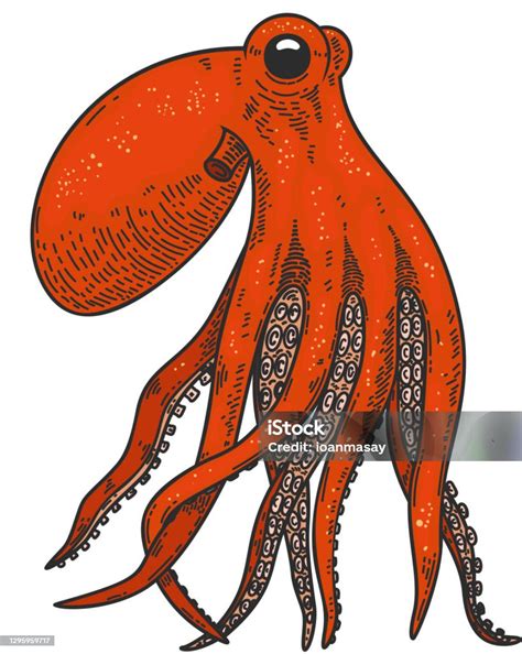 雕刻風格的章魚插圖海報卡片橫幅標誌的設計項目向量插圖向量圖形及更多章魚圖片 章魚 紋身 人體裝飾 插圖 Istock