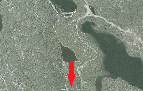 Labeling Mapserver Dynamic Label Geographic Information Systems