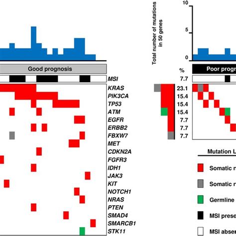 Distribution Of Mutations In The Next Generation Sequencing Analysis Download Scientific
