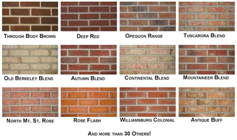 Brick Vector Picture Brick Veneers