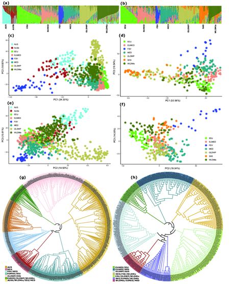 Population Structure Of The Exome Capture Datasets Containing All 921