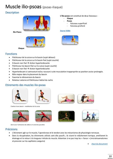 Muscles Ilio Psoas Par Jean Jacques David Fichier Pdf