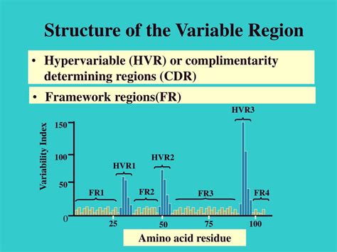 Ppt 第 4 章 免疫球蛋白 （ Immunoglobulin，ig） Powerpoint Presentation Id7074253