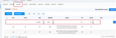 申请域名型证书如何通过dns记录验证域名所有权dns验证 证书米米素材网的博客 Csdn博客