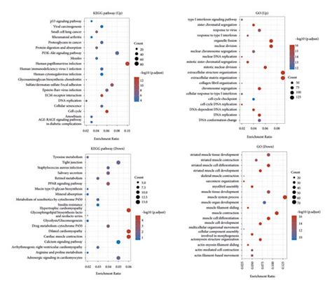 A The Differentially Expressed Analysis Between The Hnsc Cohort And