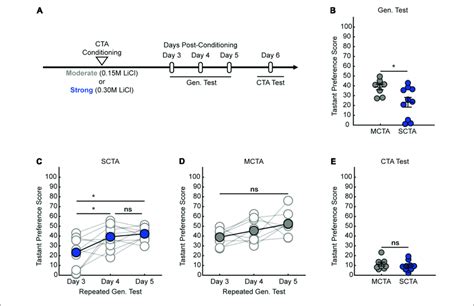 Strong Aversive Conditioning Triggers A Long Lasting Generalized