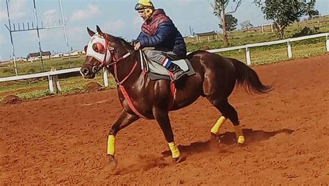 Un caballo del paraje Canal Melero correrá la Challenger en Misiones