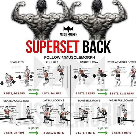 Pin On Back Exercises