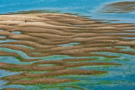 Уур амьсгалын өөрчлөлтийн нөлөөг харуулах ЗУРГУУД