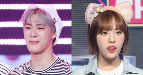 급히 전해진 소식 故 문빈 동생 문수아 활동 일시 중단한다 위키트리