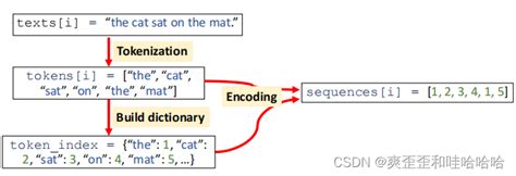 文本处理和词嵌入 Text Processing And Word Embedding文本处理imdb Text To Sequence Csdn博客