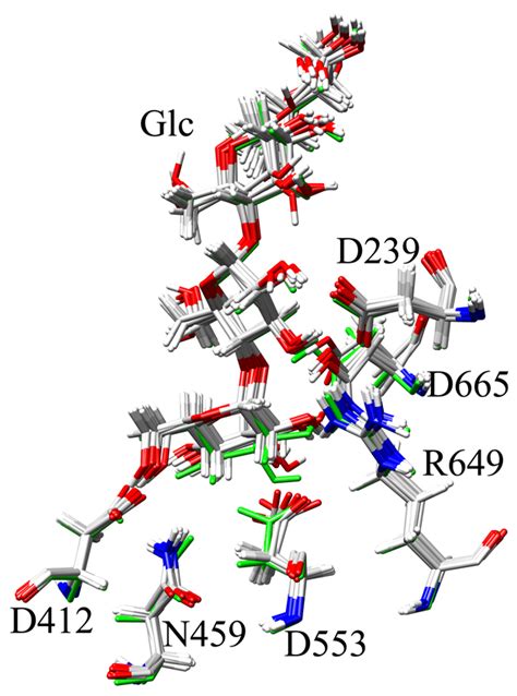 Fig S2 The Superposition Of The Active Sites Of 11 Optimized