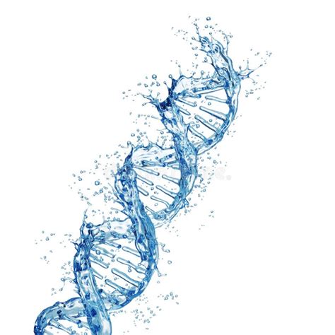 DNA Molecule Structure Isolate On White Background With Clipping Path Stock Illustration