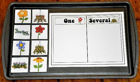 May Flowers One Or Several Sort Cookie Sheet Activity 100 File