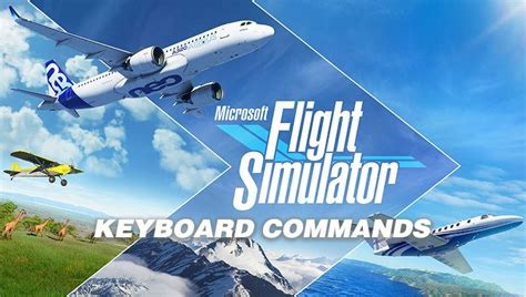 Msfs Controlskeyboard Commands Rflightsimulator