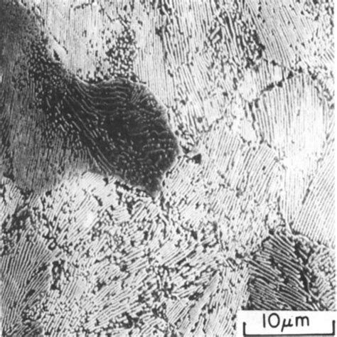 Pdf Effects Of The Prior Austenite Grain Size On The Ductility Of Fully Pearlitic Eutectoid Steel