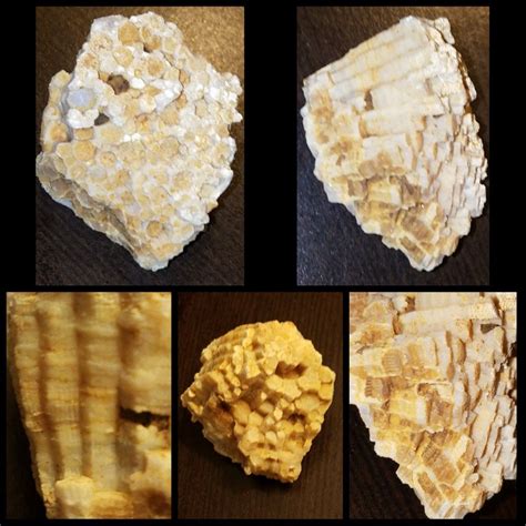 Stunning Silicified Pseudomorph Of Tabulate Coral