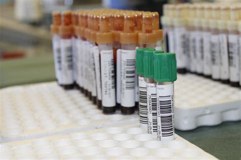 Lfts Liver Function Tests Explained Healthengine Blog