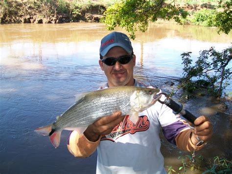 COMPANHEIROS DA PESCA