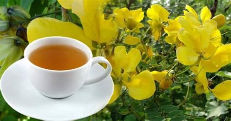 රණවරා රණවරා වල ඇති ඖෂධිය වැද්දා Vedda Products