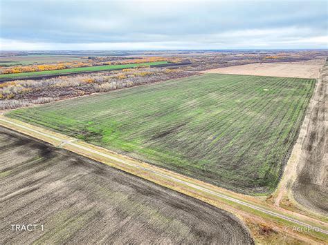 Thief River Falls Pennington County Mn Timberland Property For