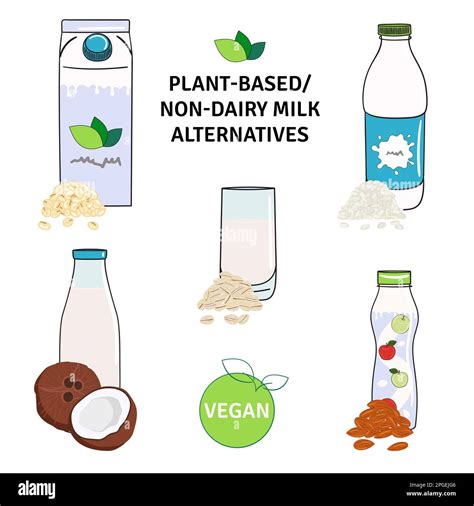 Set Of Plant Based Non Dairy Milk Alternatives Milk Bottle And Carton
