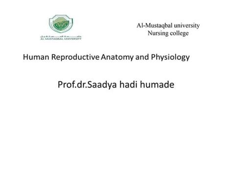 Male Reproductive System 2nd Quarter Ppt Ppt