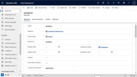 How To Upload A Custom Javascript Web File In Powerapps Portal