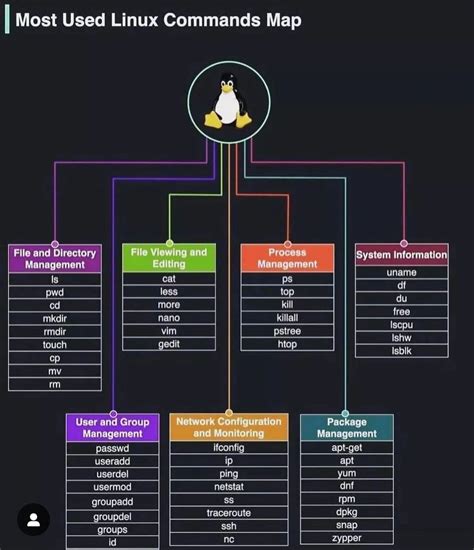Learn Linux Commands With This Guide Ameer Shaiz Bin Iqbal Posted On