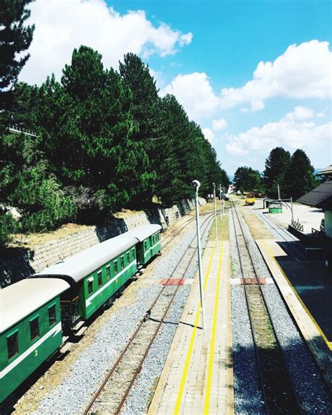 Premium Photo Railroad Track Passing Through Trees