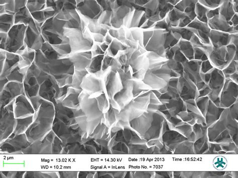Non Enzymatic Glucose Sensor Based On The Novel Flower Like Morphology Of Nickel Oxide