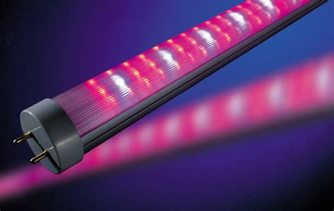 Led T8 Tube Grow Light Led Grow Lights Led Growing Light Led Grow