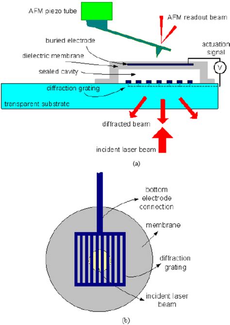A Schematic Of The Membrane Based Probe With Integrated Electrostatic Download Scientific