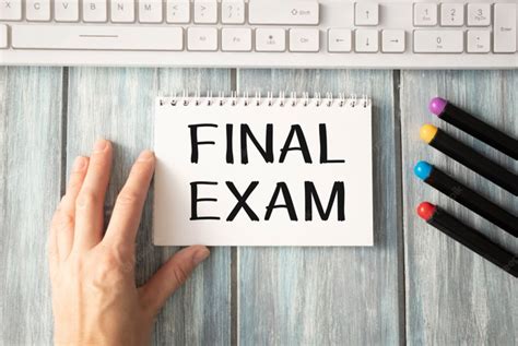 Final Exam Spring 2024 Lilah Pandora