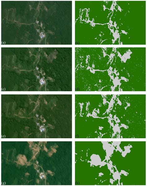 Essd Refined Fine Scale Mapping Of Tree Cover Using Time Series Of Planet Nicfi And Sentinel 1