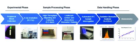 High Throughput Ex Vivo Assay For Protein Biomarker Detection In Human Download Scientific
