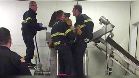 Man Rescued After Falling Into Industrial Meat Grinder Cnn