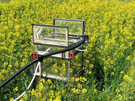 The Australian Soil Classification Wa Soil Knowledge Base