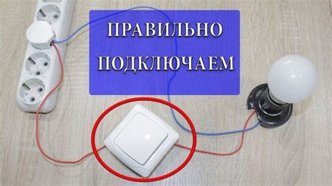 Схема подключения светильника инструкция как подсоединить лампочку и