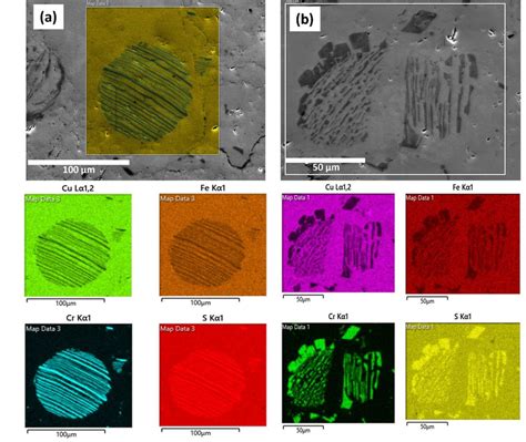 Scanning Electron Microscopy Sem Images With Corresponding Eds Area