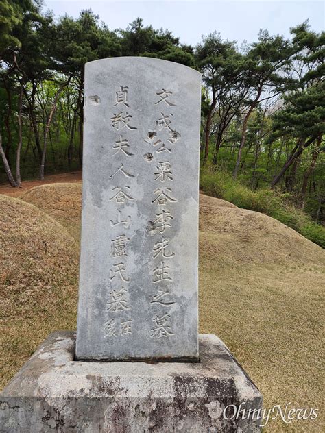 율곡 부부 묘비 총탄 흔적이 선명하다 깊게 팬 탄흔 오마이포토