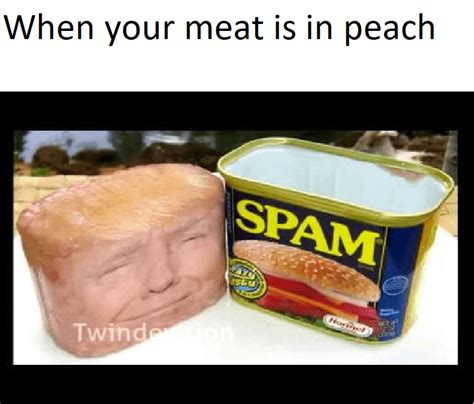 Mmmmmm Meaty Rlithuaniakittens