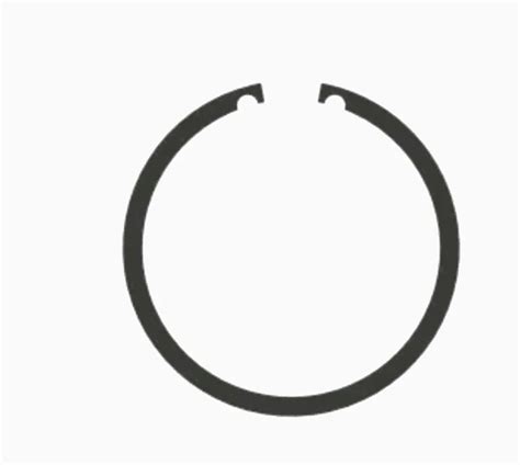 Constant Section Retaining Rings Snap