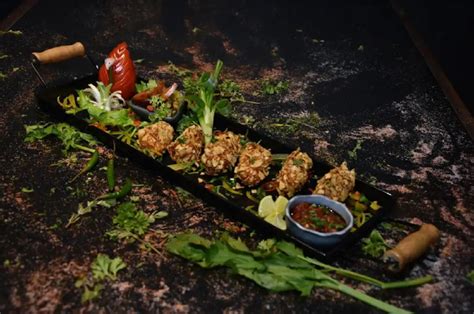 Stellar Kitchen Karelibaug Vadodara Zomato